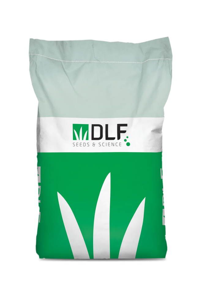 Мятлик луговой. Сорт Юлиус. DLF, Дания купить оптом от производителя в ...